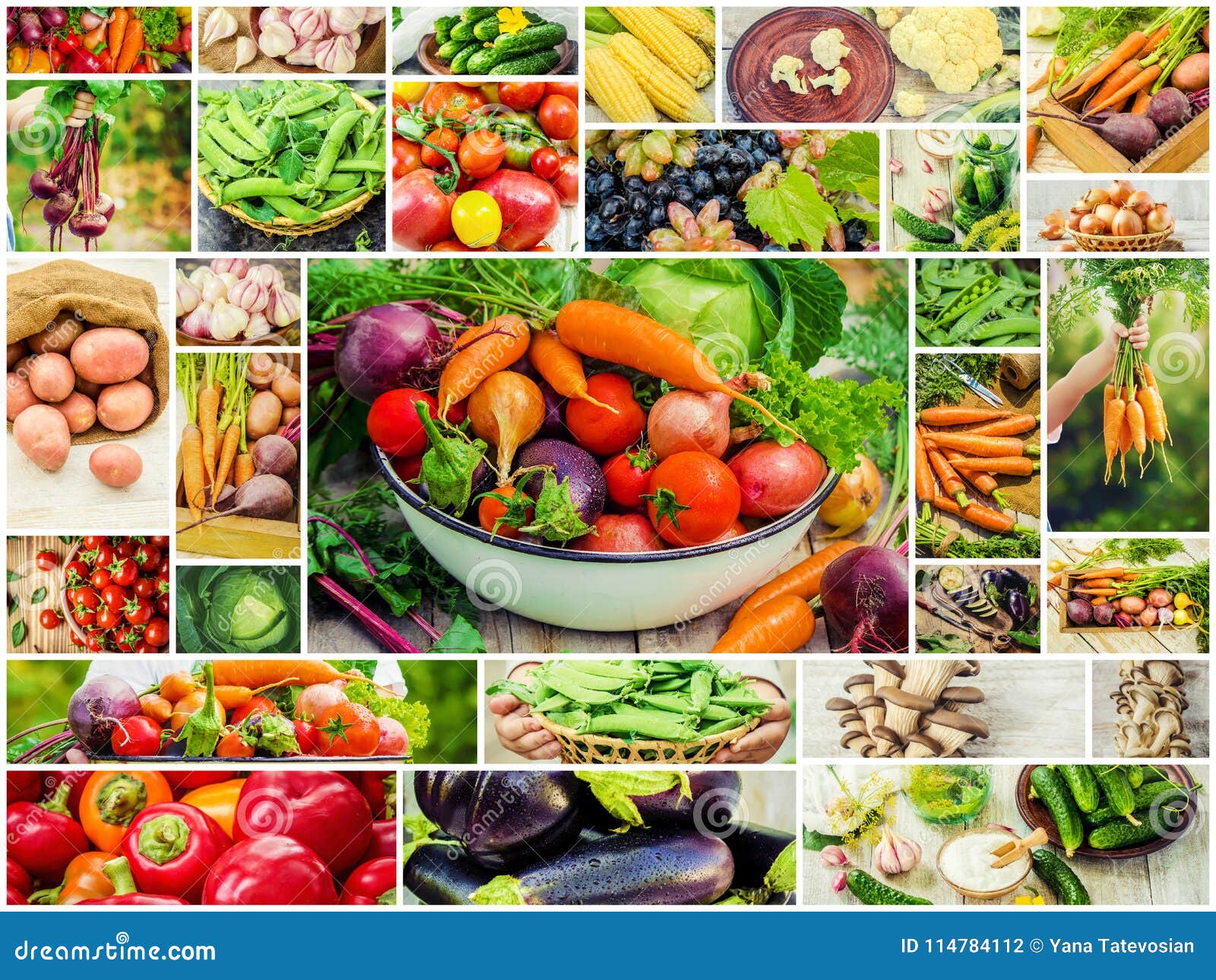 Collage of Different Vegetables. Stock Photo - Image of potatoes ...