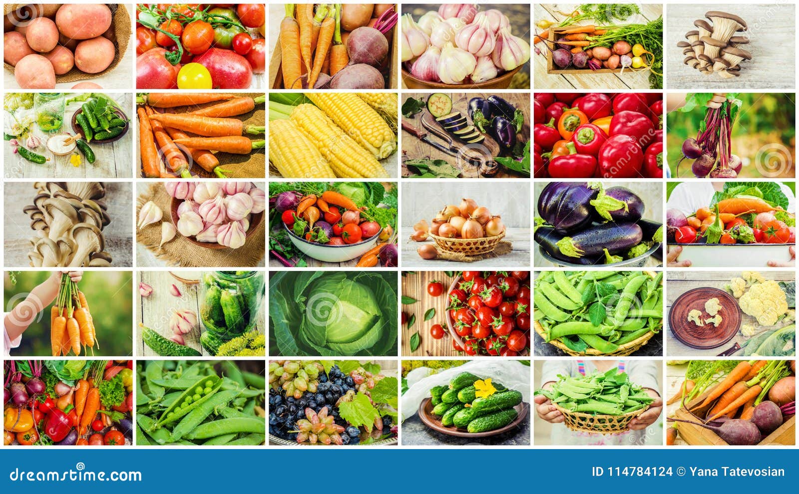 Collage of Different Vegetables. Stock Photo - Image of cucumbers ...