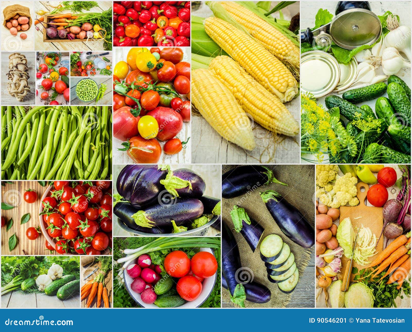 Collage of Different Vegetables. Vegetarian Food Stock Image - Image of ...