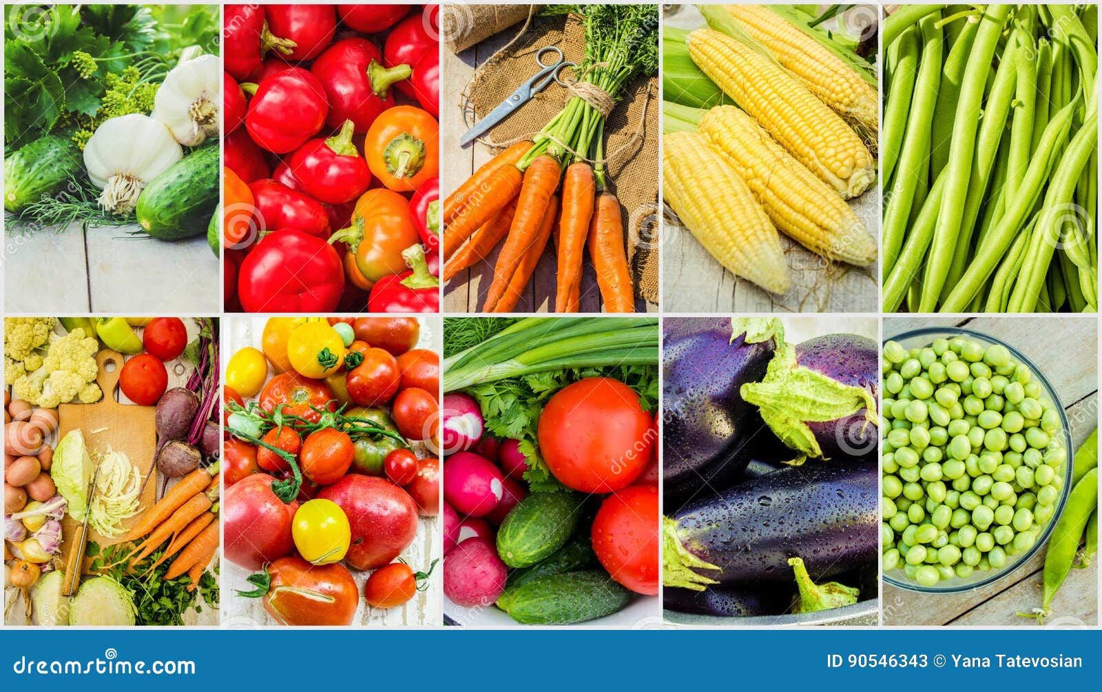 Collage of Different Vegetables. Vegetarian Food Stock Image - Image of ...