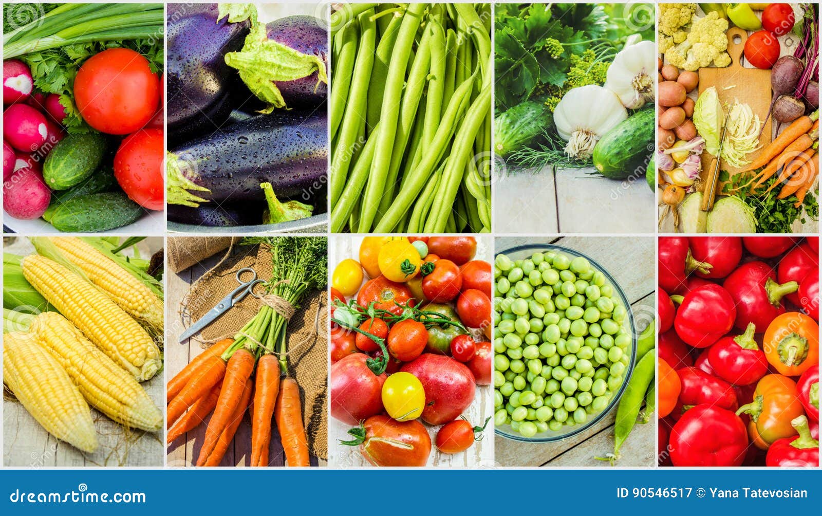 Collage of Different Vegetables. Vegetarian Food Stock Image - Image of ...
