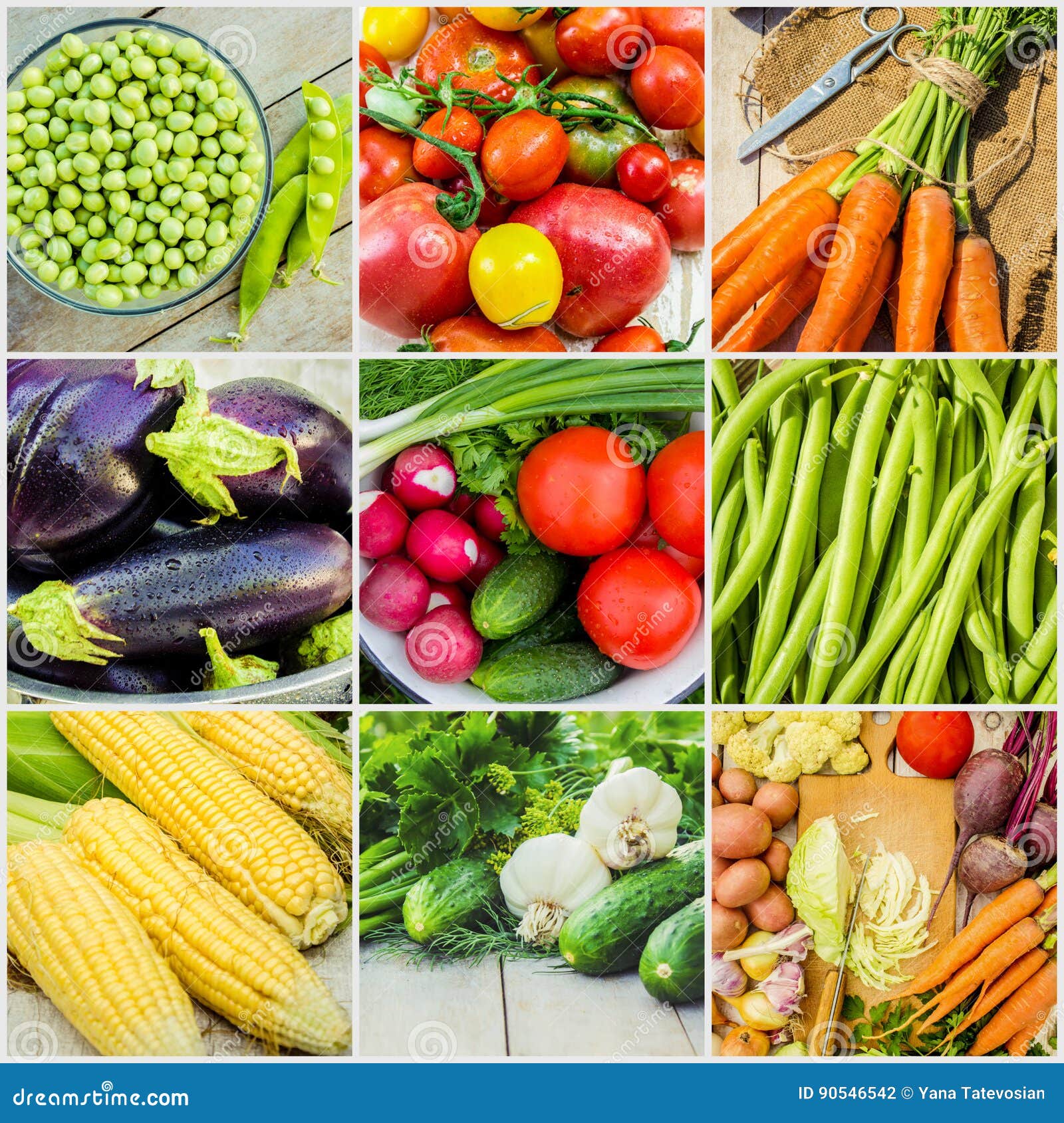 Collage of Different Vegetables. Vegetarian Food Stock Photo - Image of ...