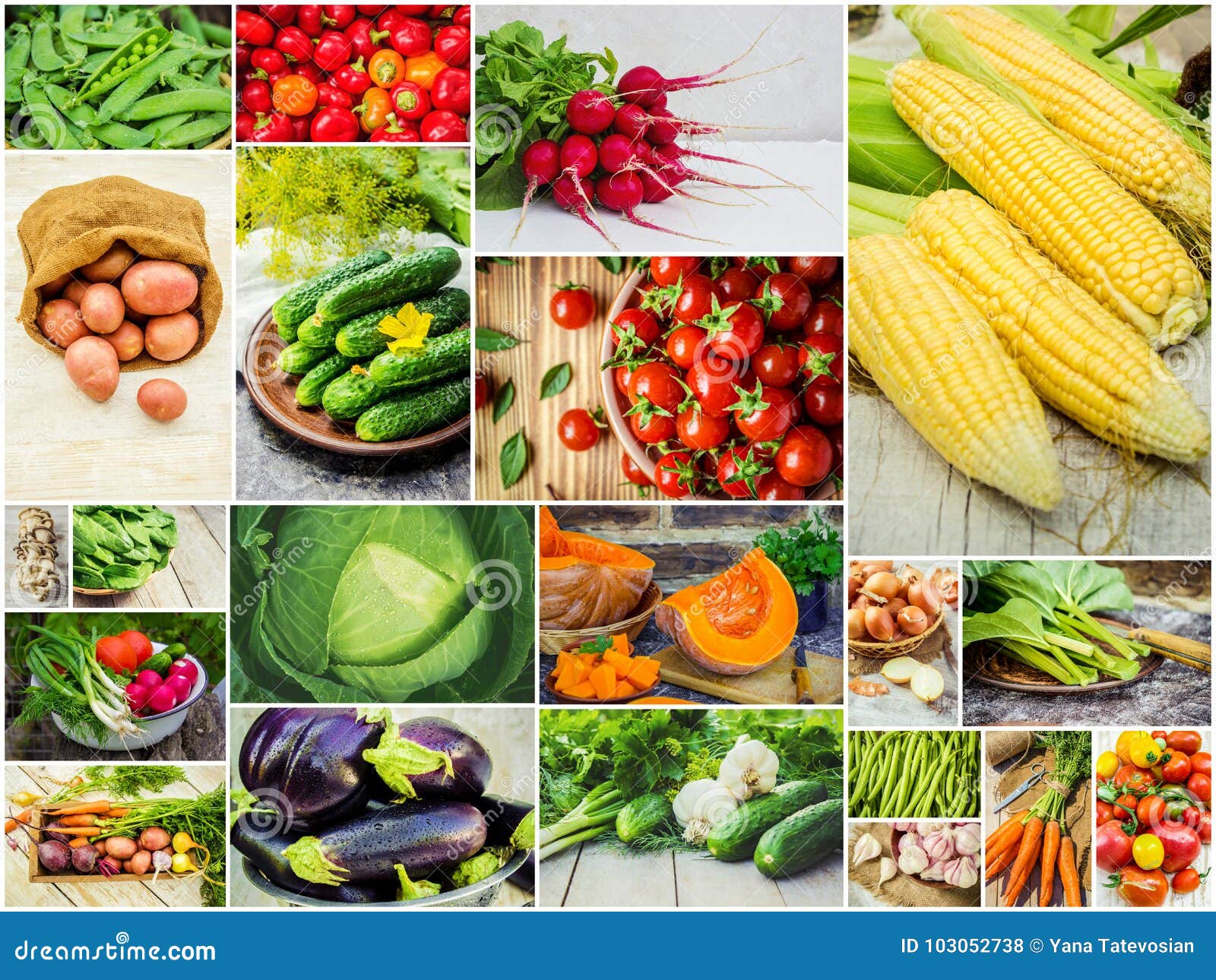Collage of Different Vegetables. Vegetarian Food Stock Photo - Image of ...