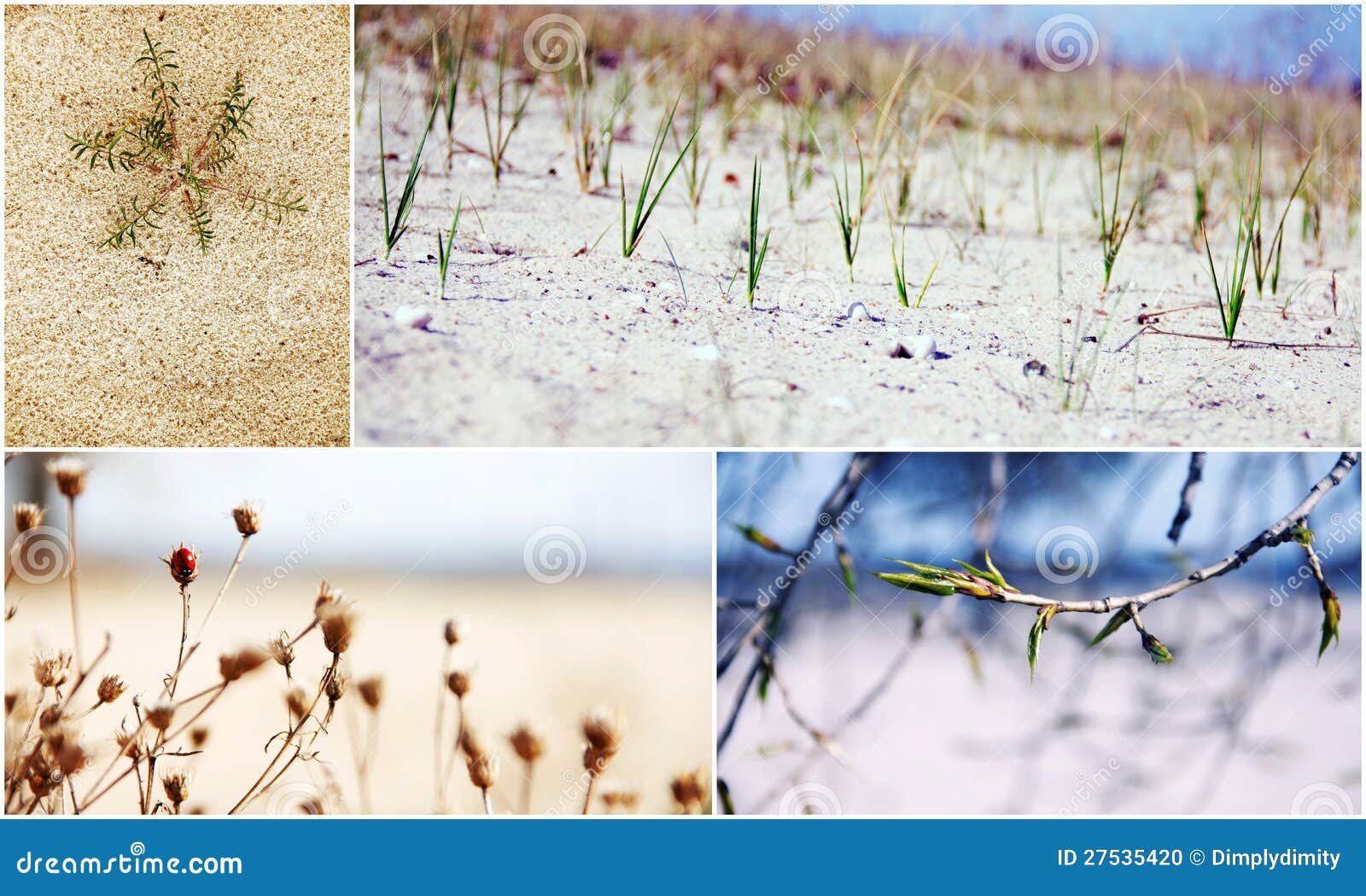 Collage of Early Spring Nature Stock Photo - Image of focus, meadow ...