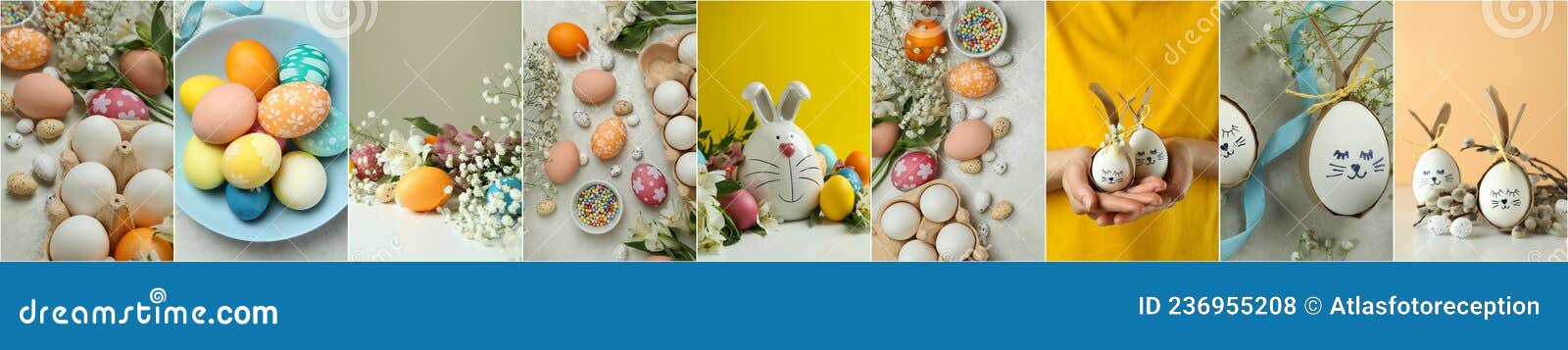 3 Angle Collage Of A Toad Isolated On White Background. Southern Toad ...