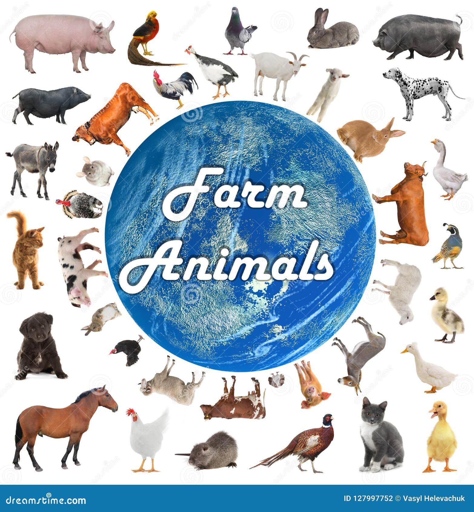 Collage Of Animals From Noahs Ark Featuring A Diverse Array Of Species ...