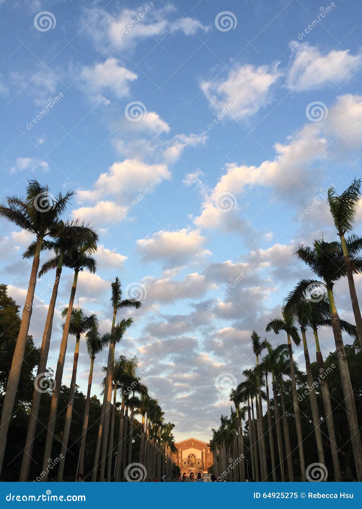 Collage stock image. Image of collage, taiwan, shining - 64925275