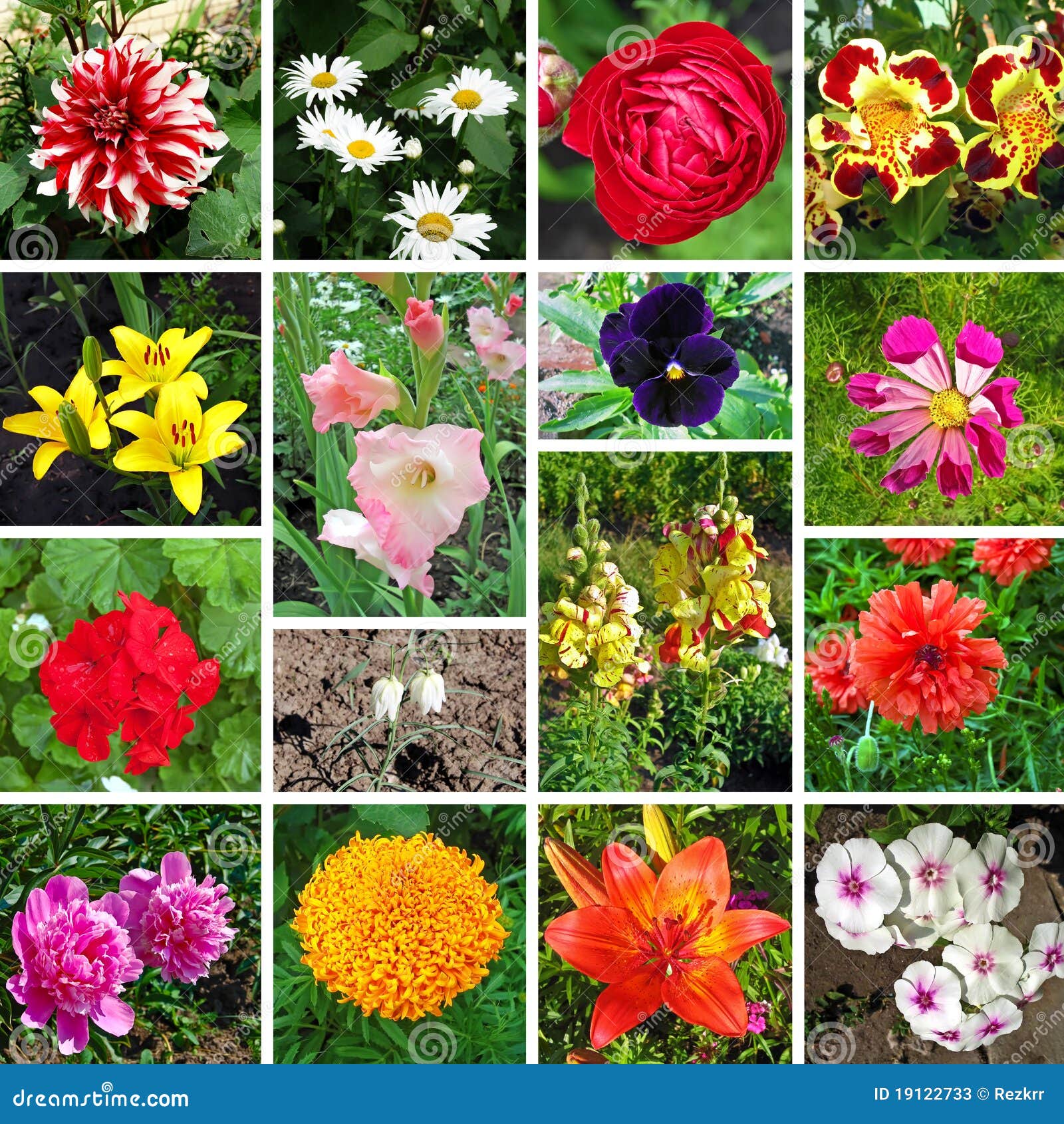 Collage floral imagen de archivo. Imagen de flojo, resorte - 19122733