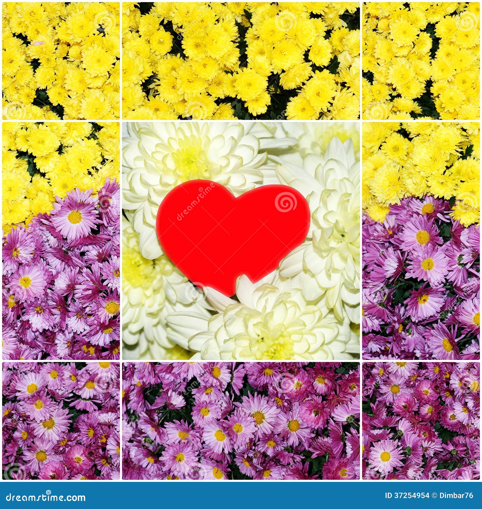 Collage of Flowers with a Red Heart Stock Photo - Image of celebration ...