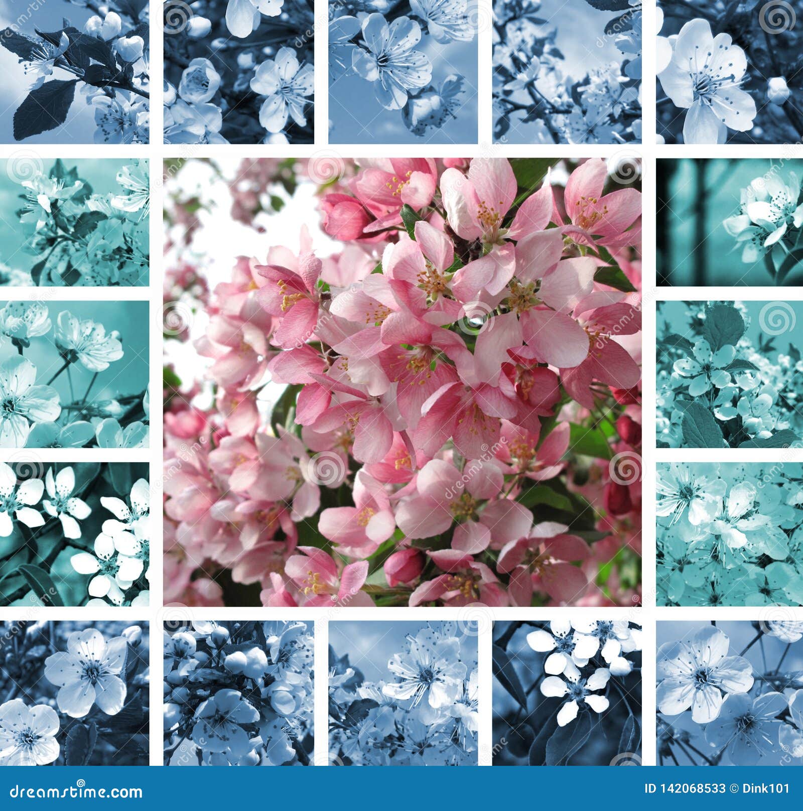 Collage with Flowers of Spring Trees Stock Image - Image of flora ...