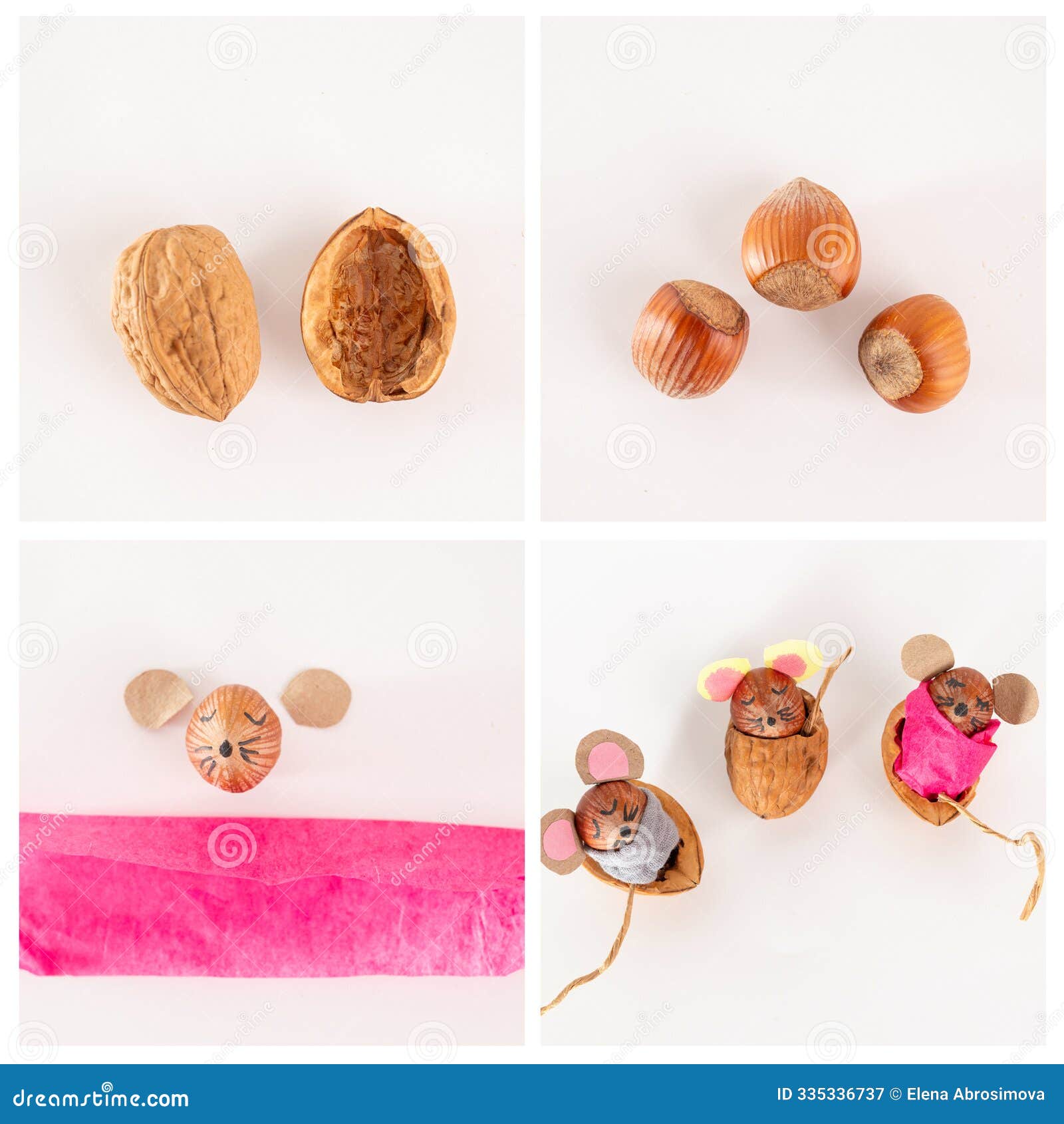 Collage of Four Photos on White Background, Open Walnut, Three ...