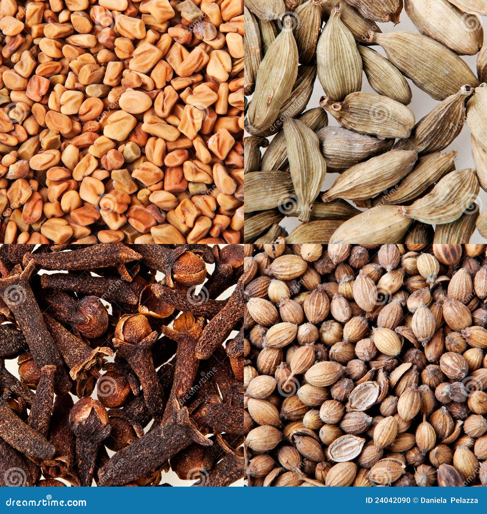 Collage of four spices. stock photo. Image of asian, cardamom - 24042090