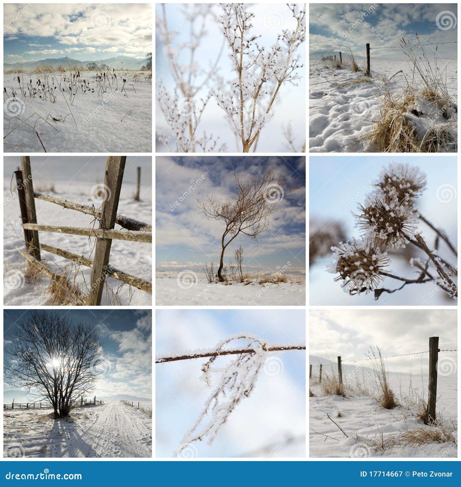 Collage frío del invierno imagen de archivo. Imagen de hielo - 17714667