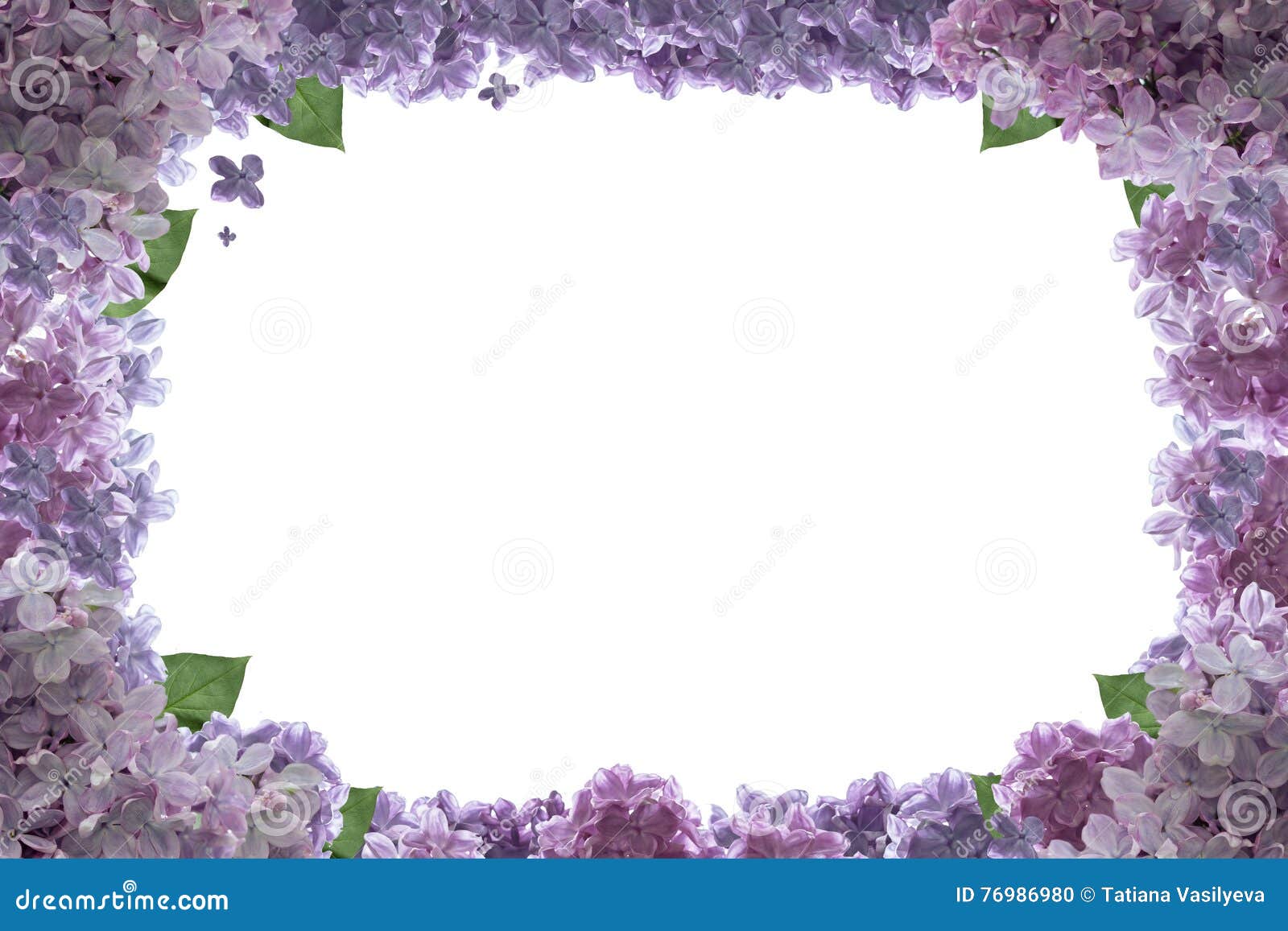 Collage Frame of Lilac Flowers Stock Photo - Image of bush, collage ...