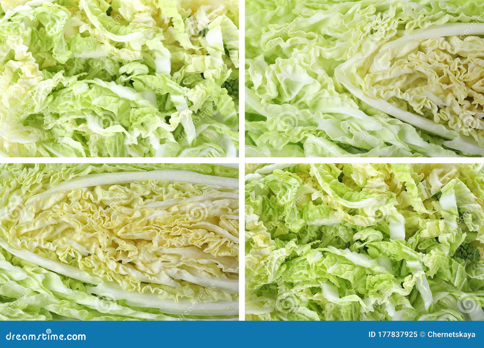 Collage of Chopped Chinese Cabbage, Top View Stock Image - Image of ...