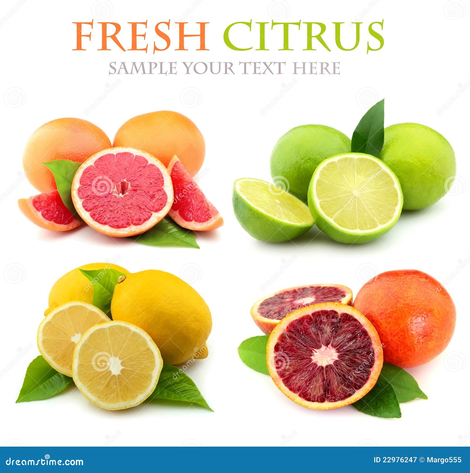 Collage of fresh citrus stock image. Image of green, orange - 22976247