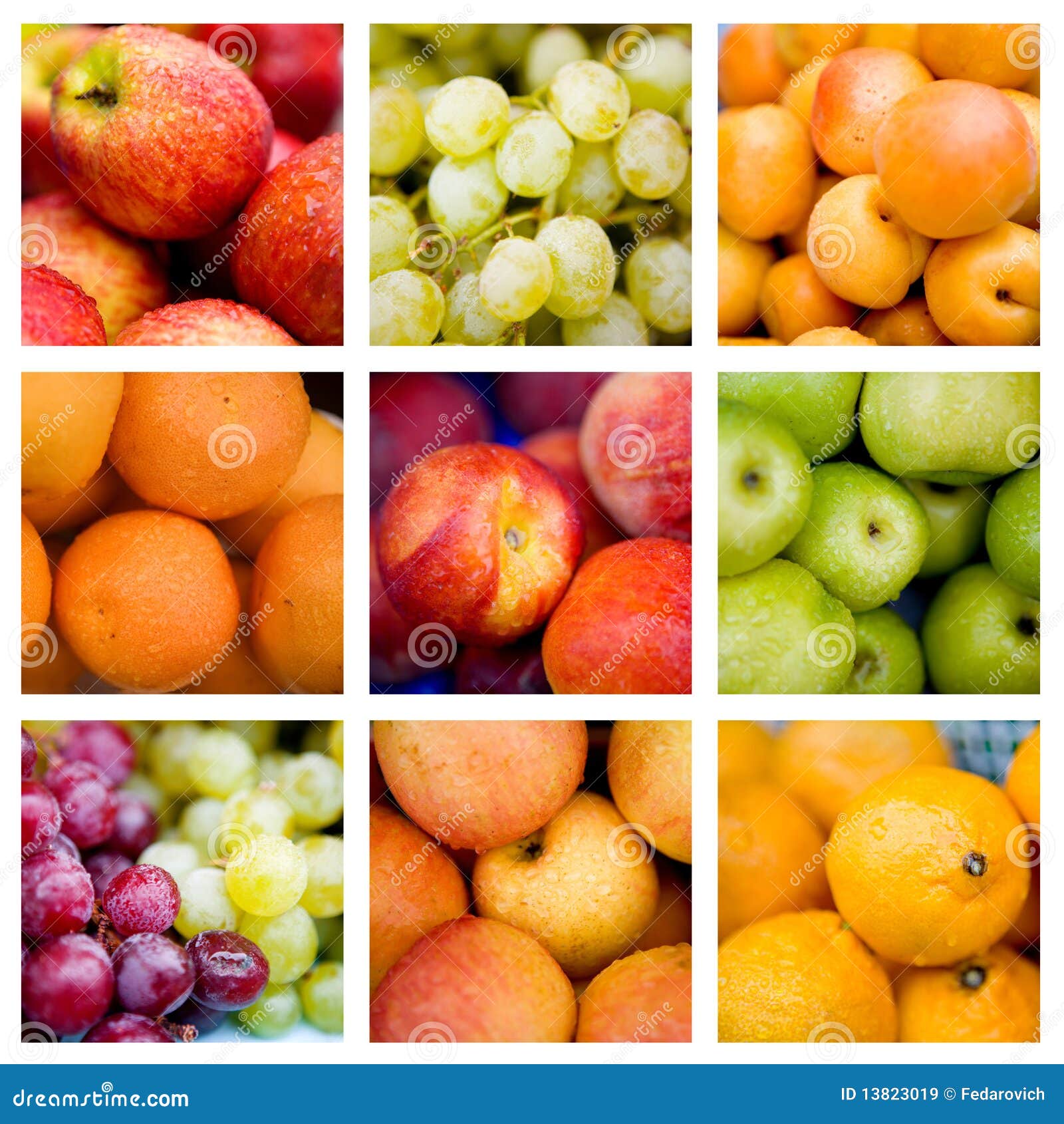 Collage of fresh fruit stock image. Image of fresh, grenades - 13823019