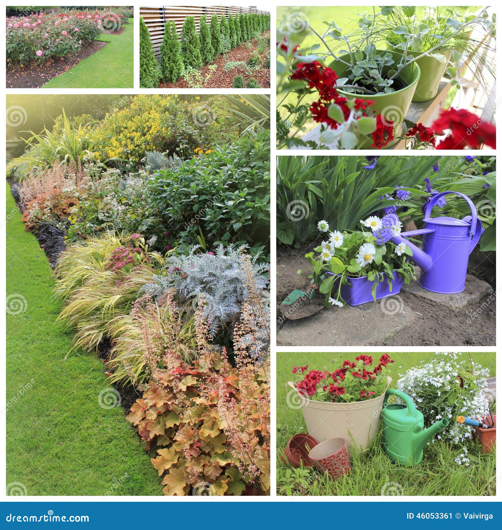 Collage of garden images stock image. Image of flowerpot - 46053361