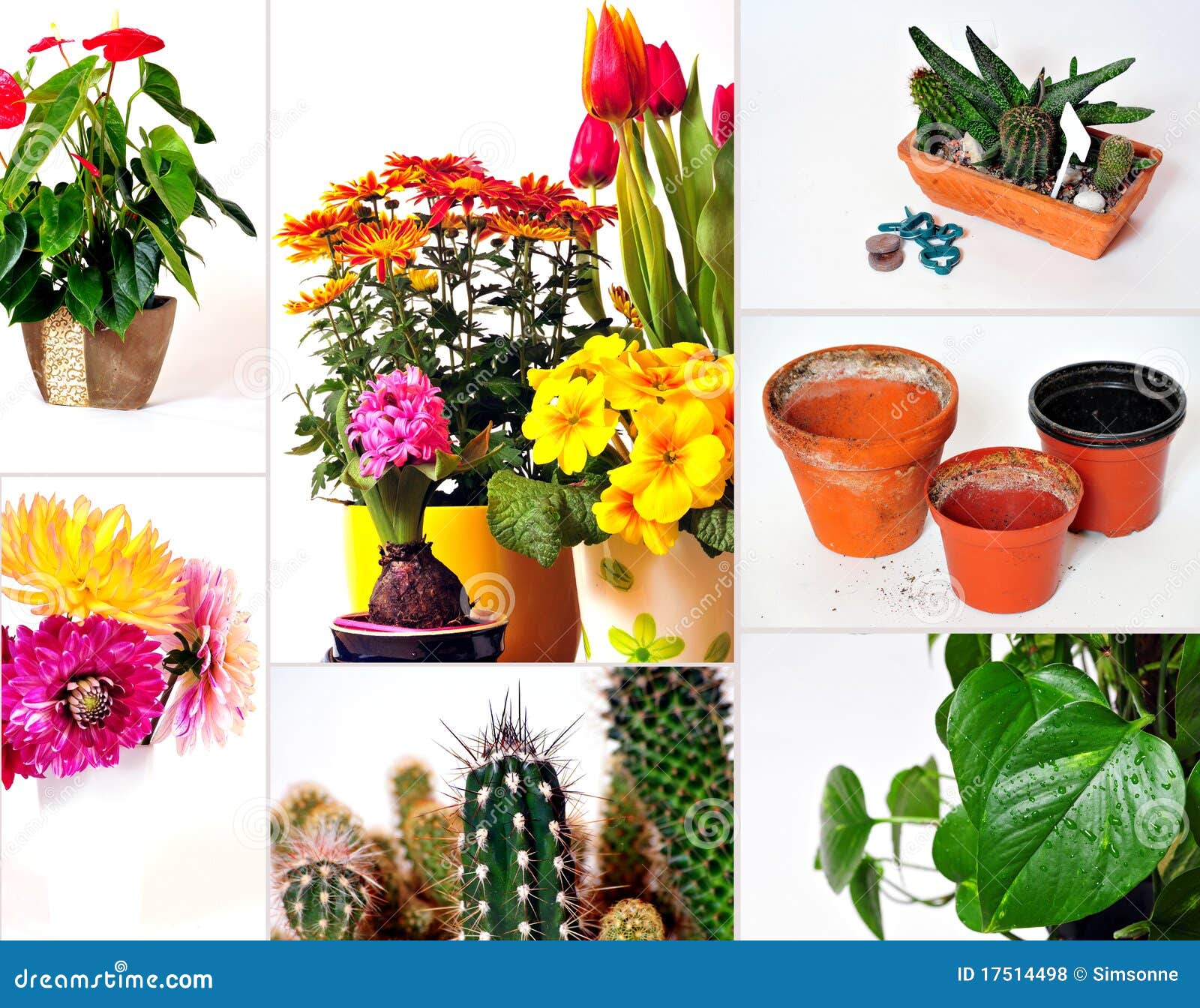 Collage Garden Time Photos Frame Royalty-Free Stock Photography ...