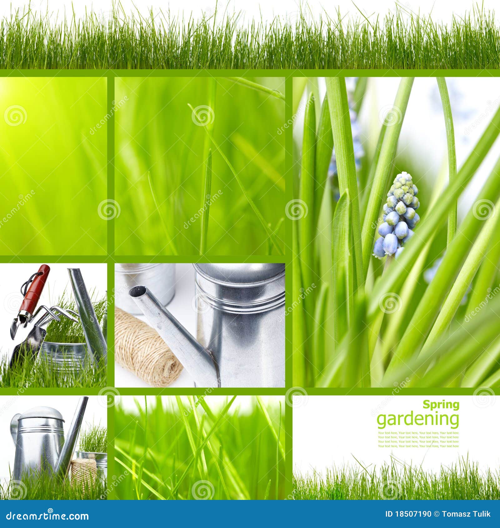 Collage garden and spring stock photo. Image of fresh - 18507190
