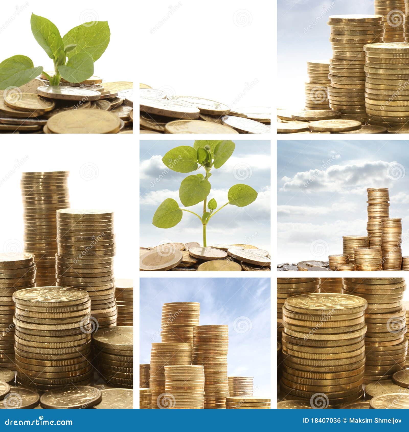 A Collage of Golden Coins and Green Leaves Stock Photo - Image of cash ...