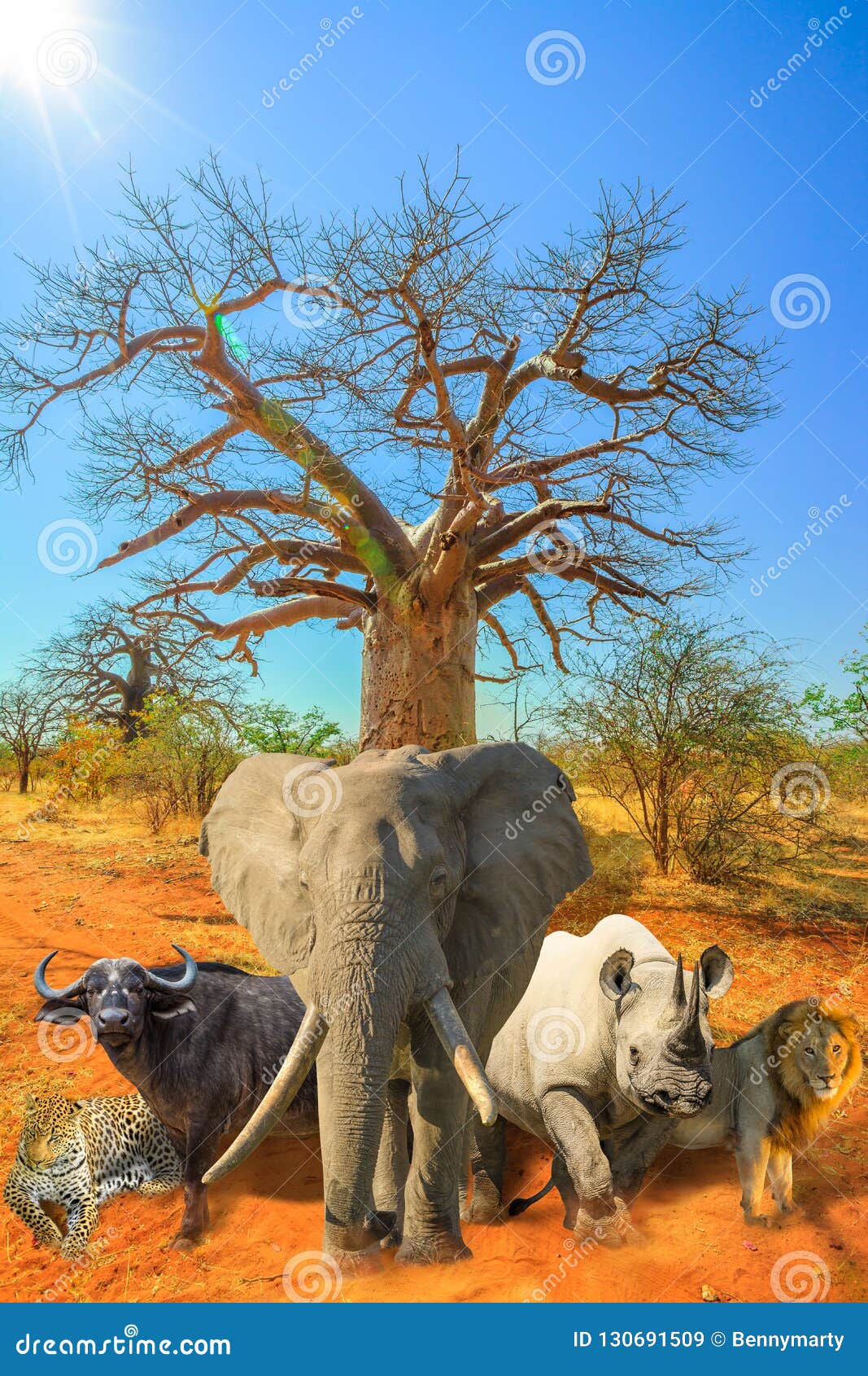 Collage grande cinco imagen de archivo. Imagen de leopardo - 130691509