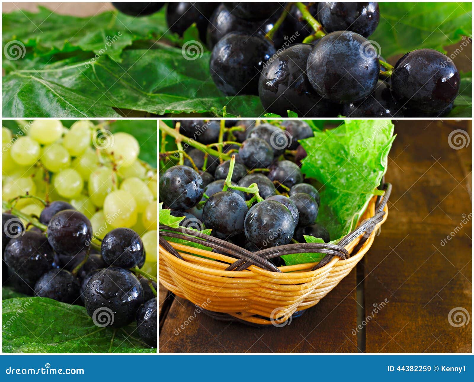 Collage of Green and Black Grapes Stock Image - Image of purple ...