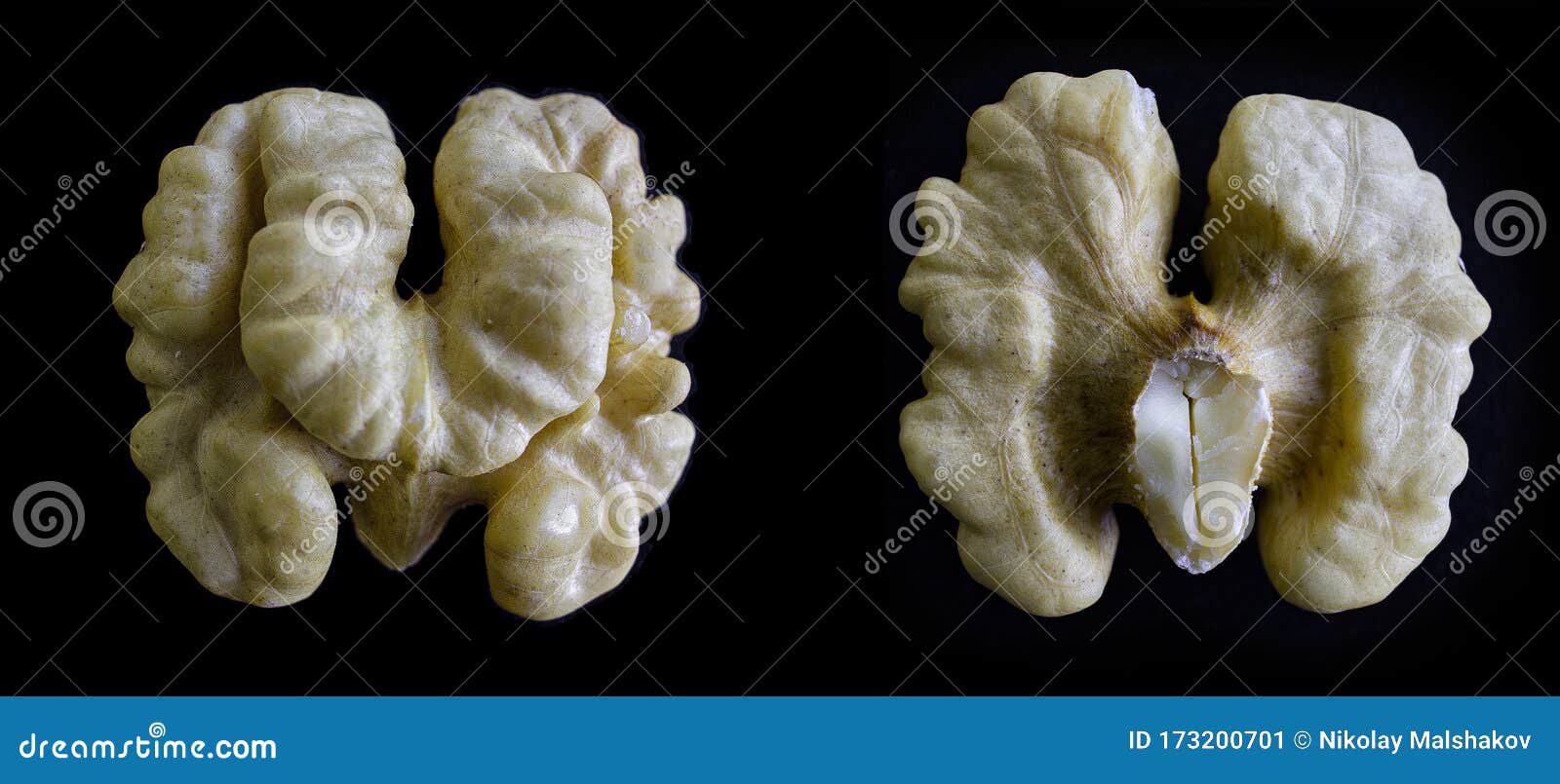 Collage of Halves of Walnut Kernel on Black Background. One-click ...