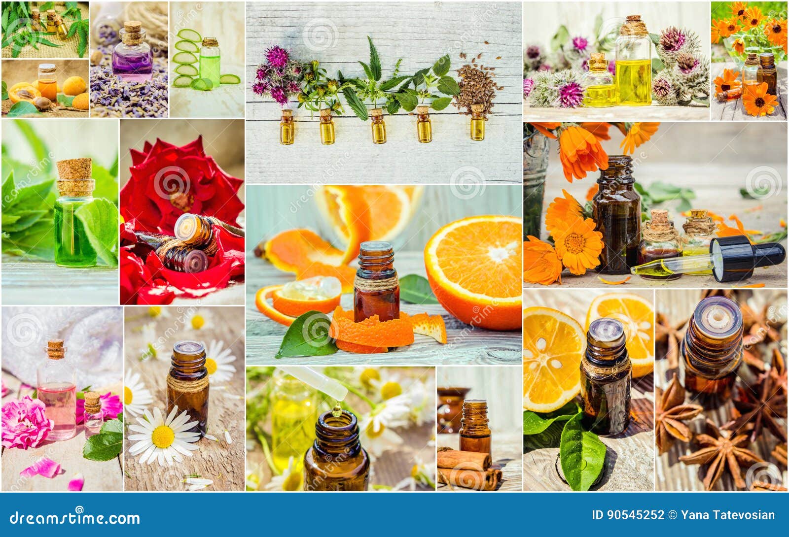 Collage of Herbs and Essential Oil. Stock Photo - Image of cream ...