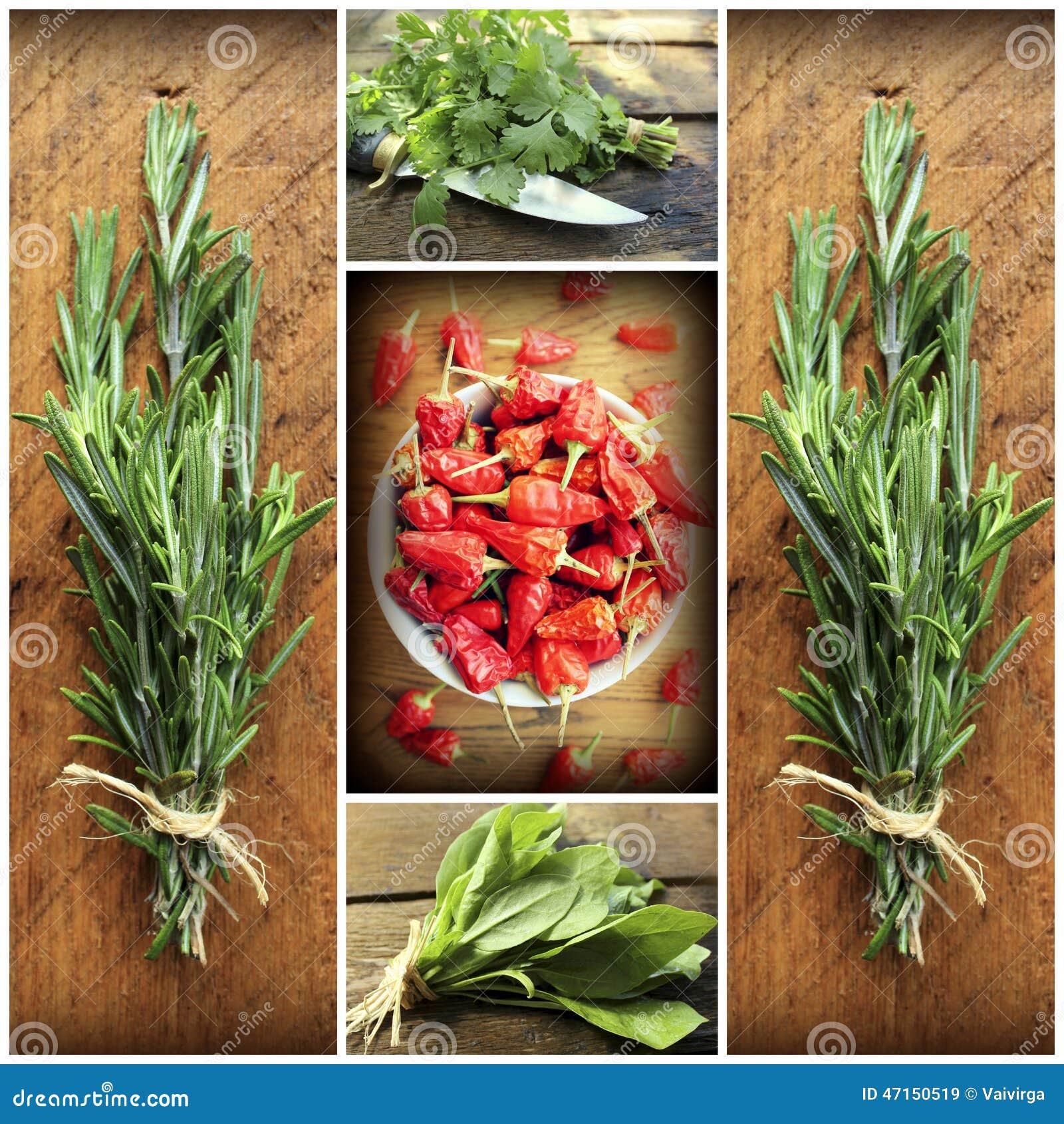 Collage of herbs stock image. Image of healthy, fresh - 47150519