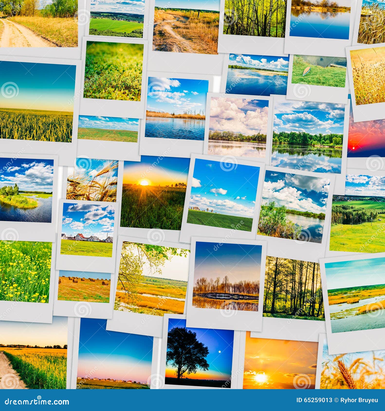 Collage of Instant Photographs of Nature Stock Image - Image of park ...