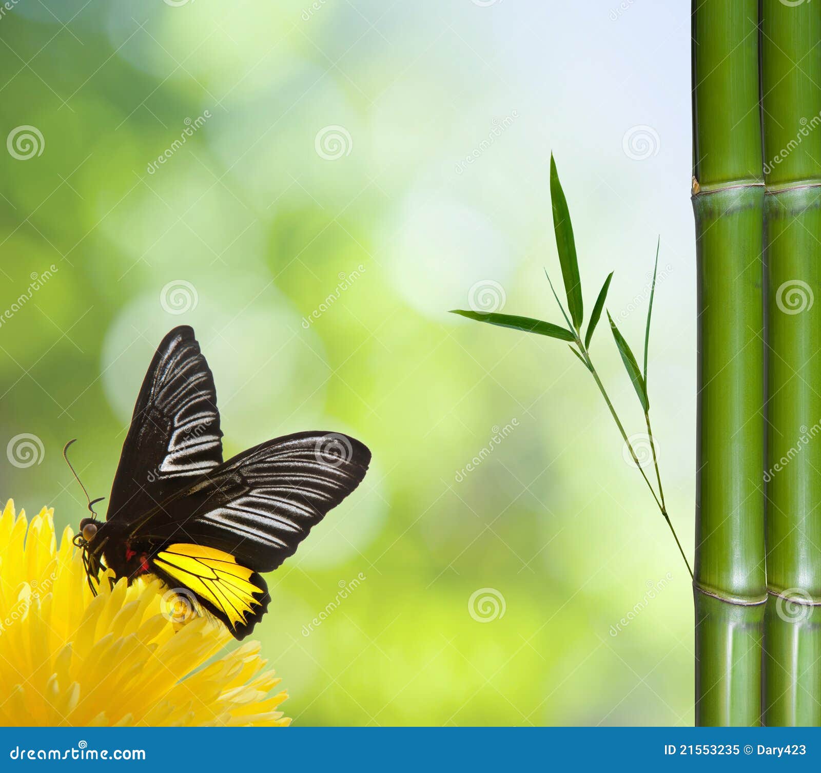 Collage with Leaves, Grass and Flax Stock Image - Image of antenna ...