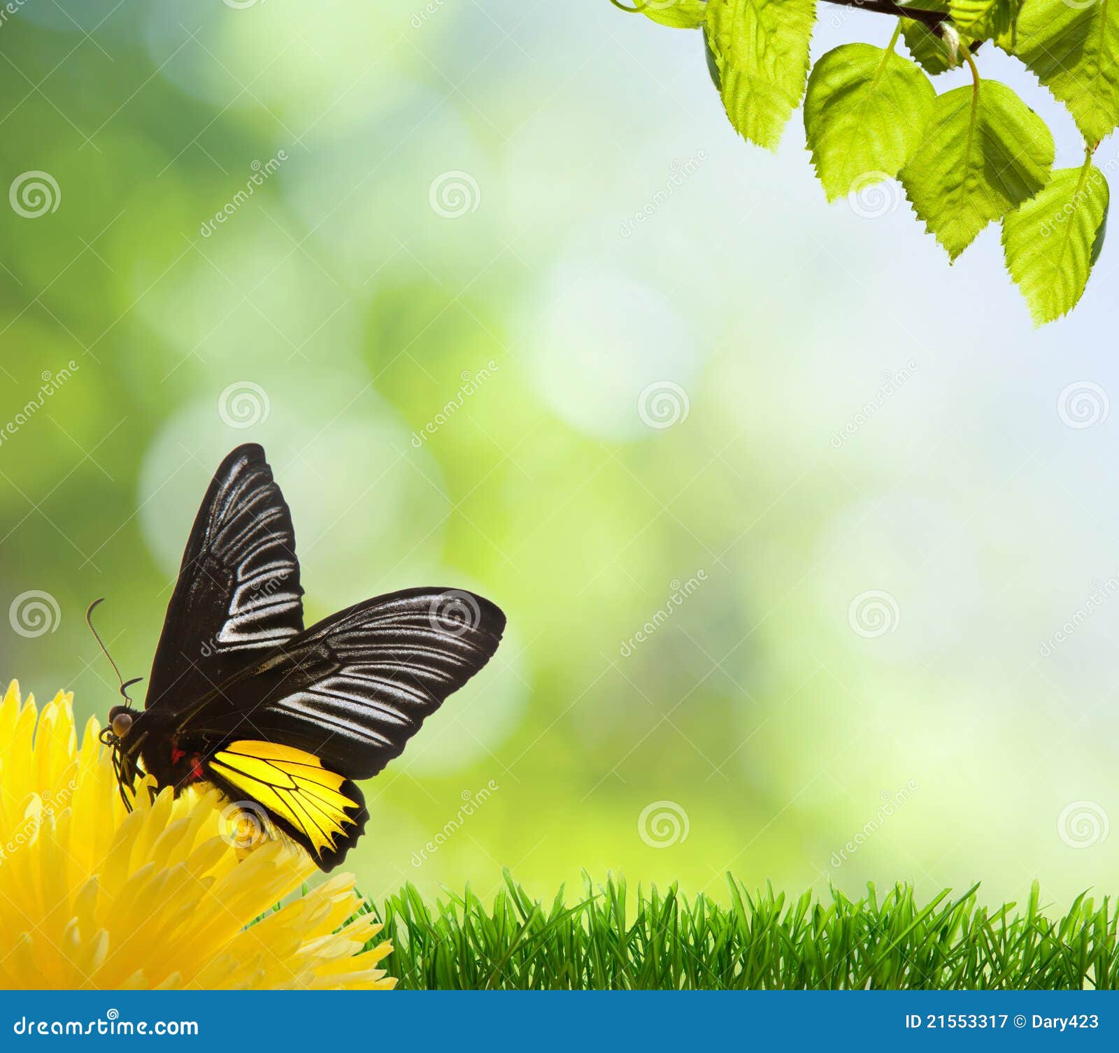 Collage with Leaves, Grass and Flax Stock Image - Image of leaf, animal ...