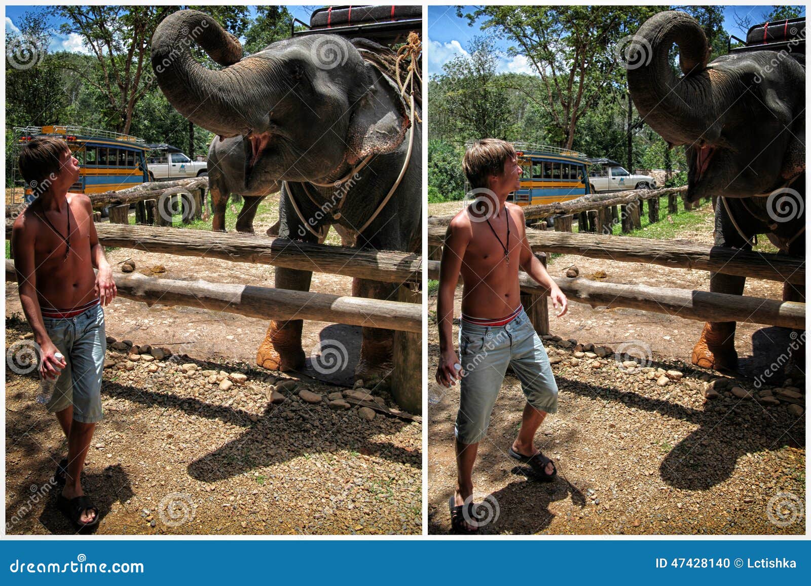 Collage Man Elephant Stock Photos - Free & Royalty-Free Stock Photos ...