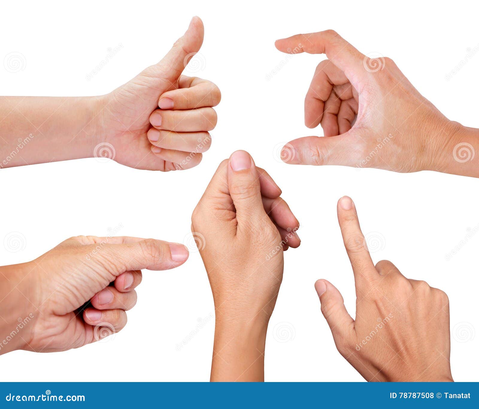 Collage of Man Hands Isolated on White Stock Photo - Image of forearm ...