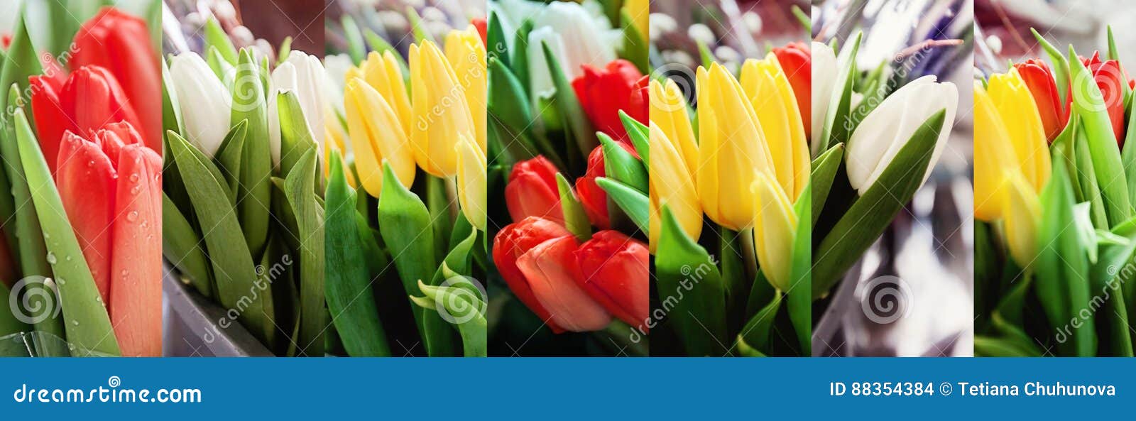 Collage of Many Bouquets of Multi-colored Tulips Stock Photo - Image of ...