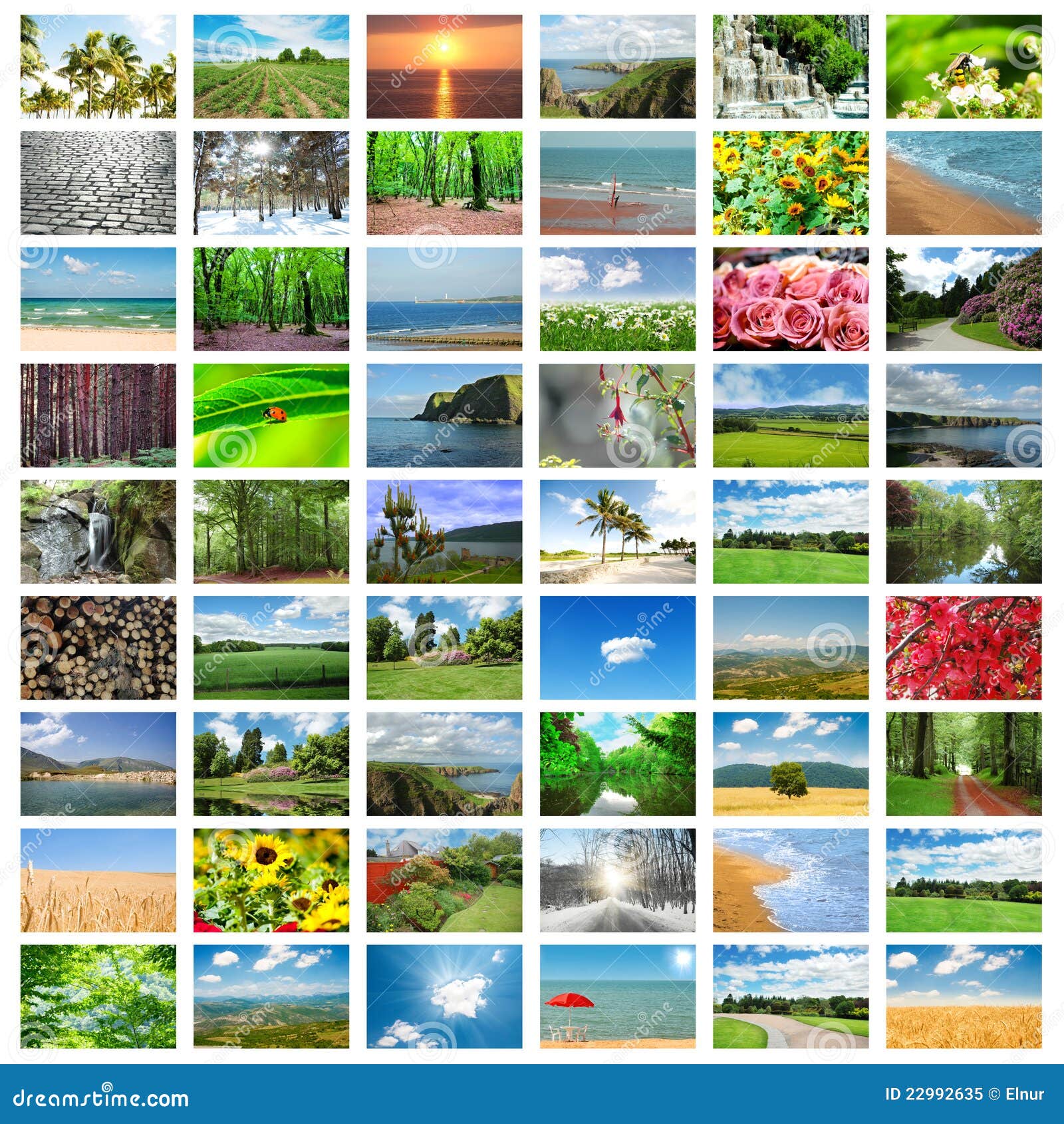 Collage of many photos stock image. Image of group, flower - 22992635