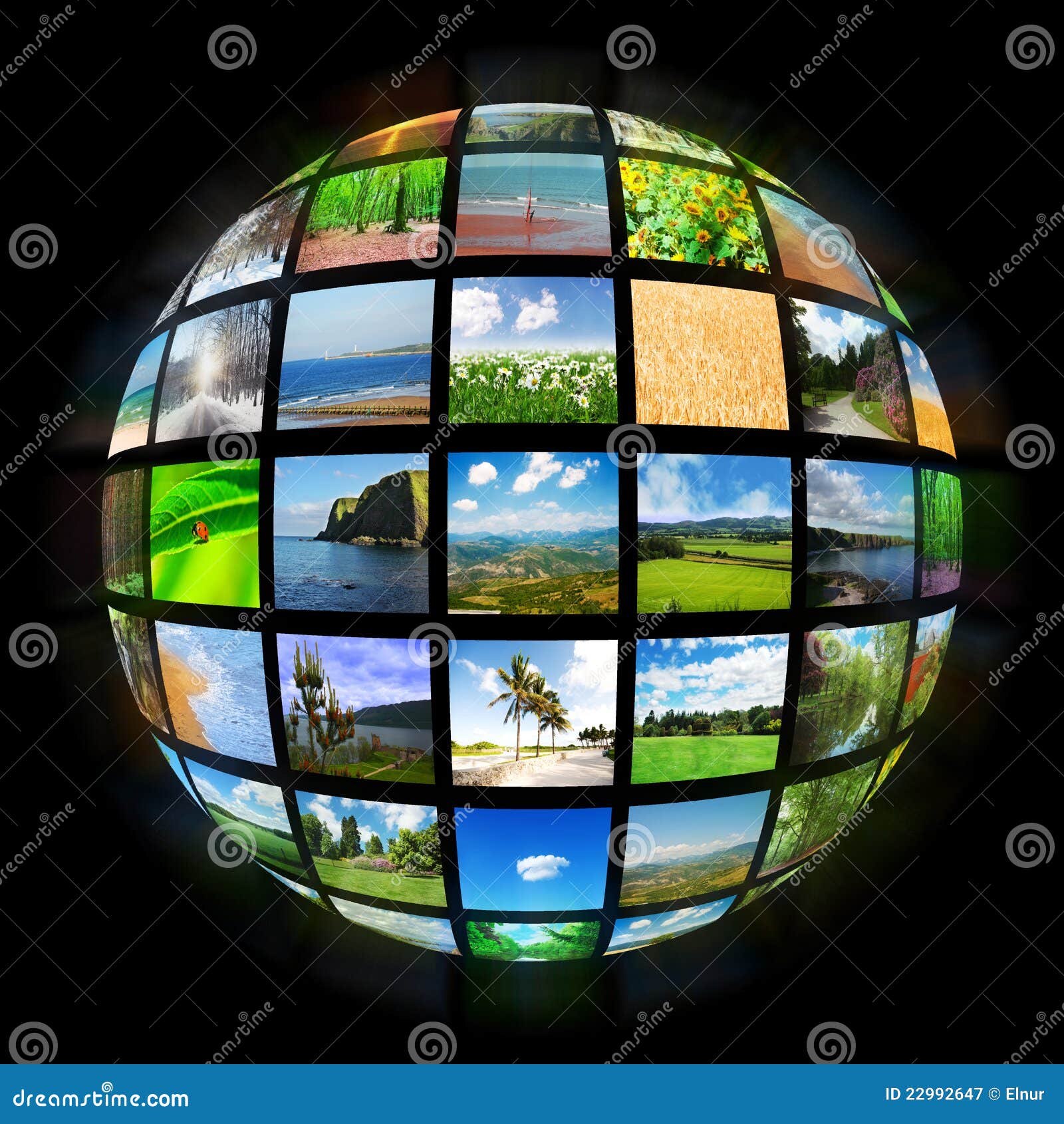 Collage of many photos stock image. Image of grass, forest - 22992647