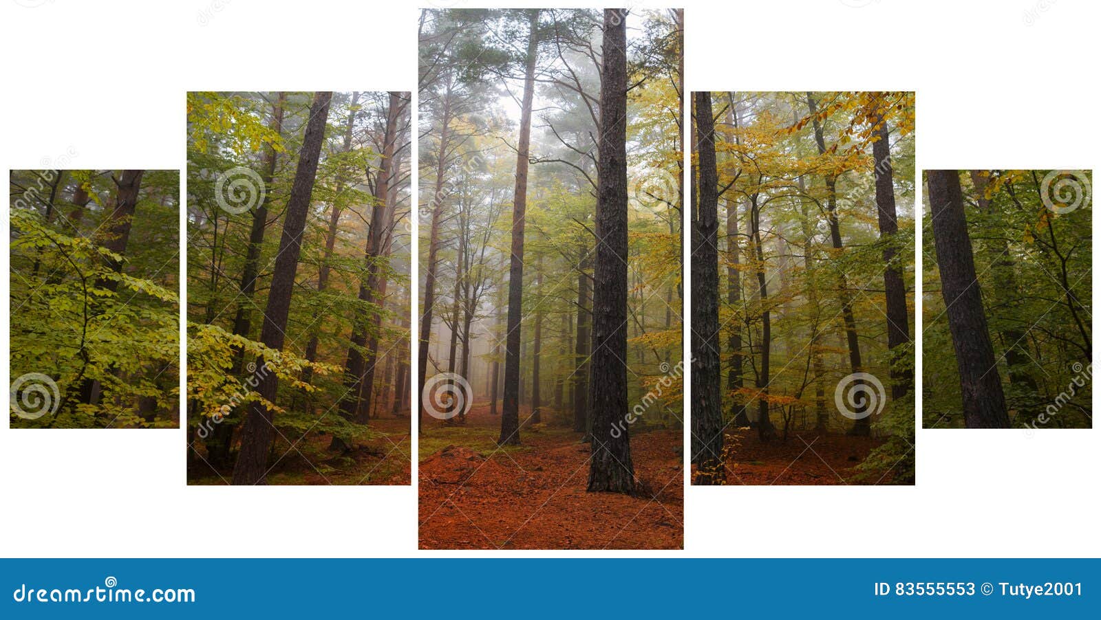 Collage Forest Season Backgrounds Stock Photography | CartoonDealer.com ...