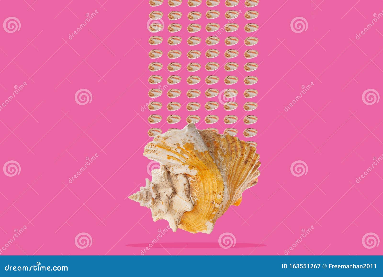 Collage of Modern Art. a Large Seashell from Which Comes Up a Repeating ...