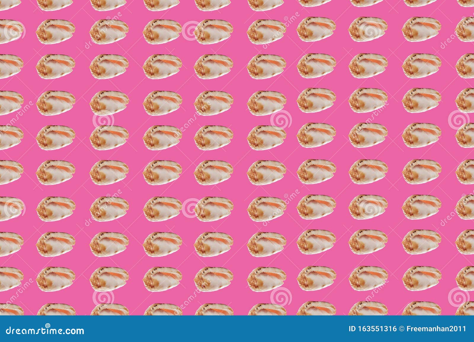 Collage of Modern Art. a Repeating Pattern of Small Seashells on a Pink ...