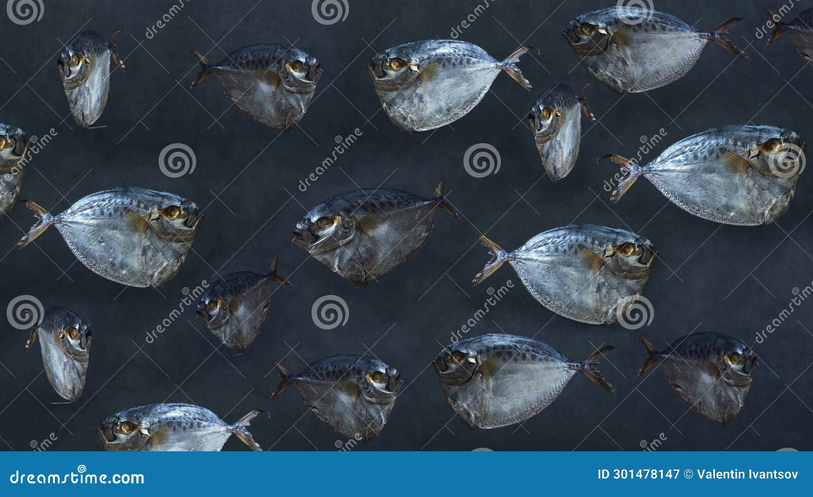 Collage with Moonfish on a Dark Background Stock Image - Image of ...