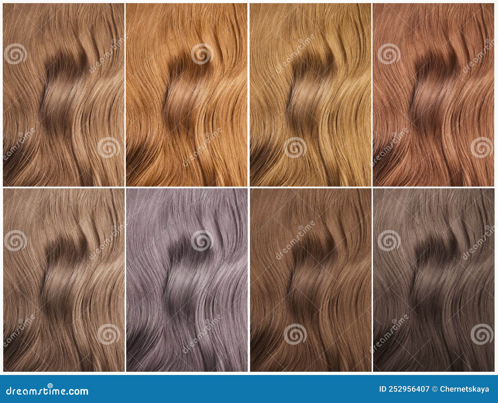 Collage with Multicolored Hair Samples. Color Palette Stock Image ...