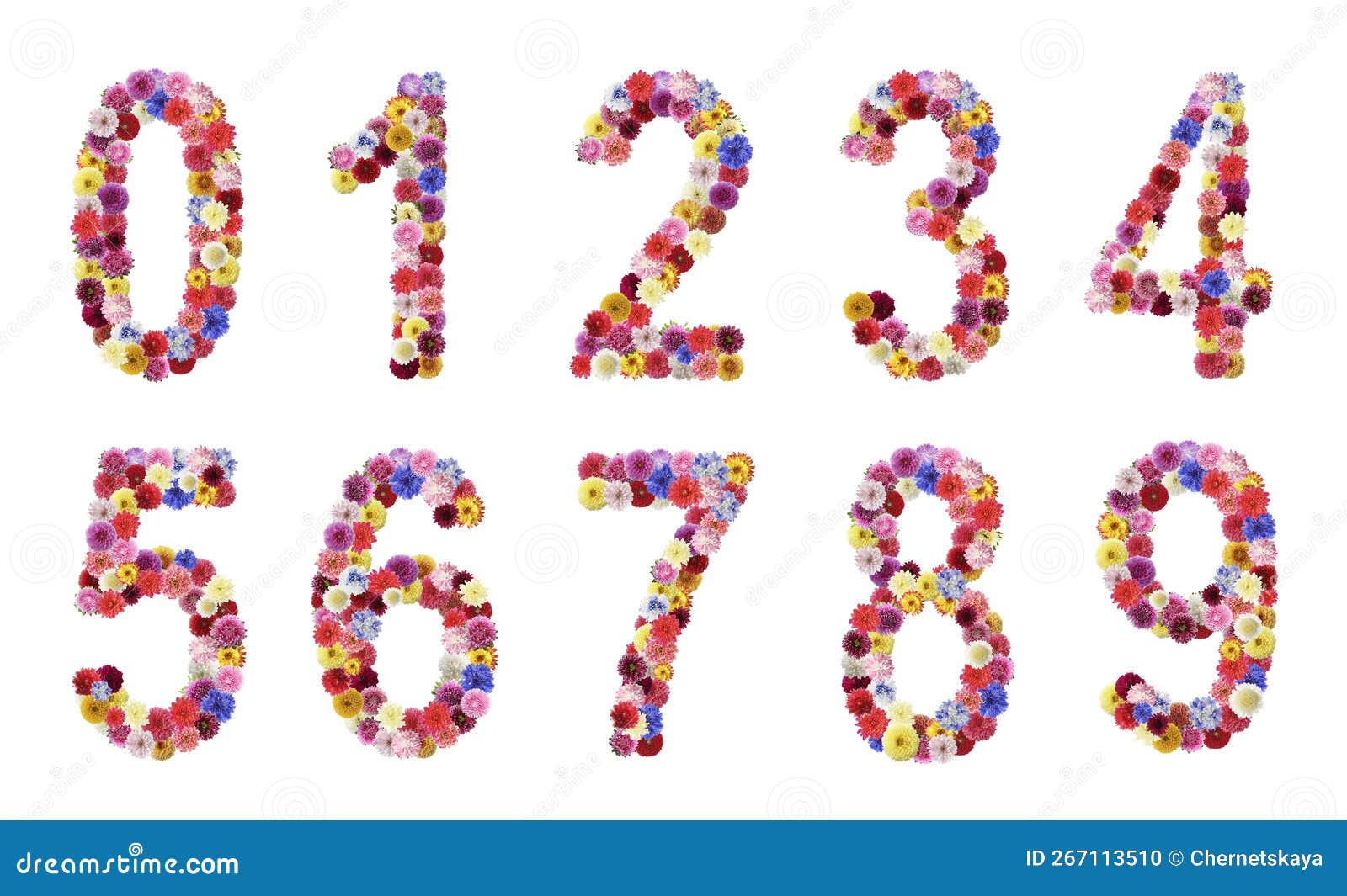 Collage with Numbers Made of Beautiful Flowers on White Background ...