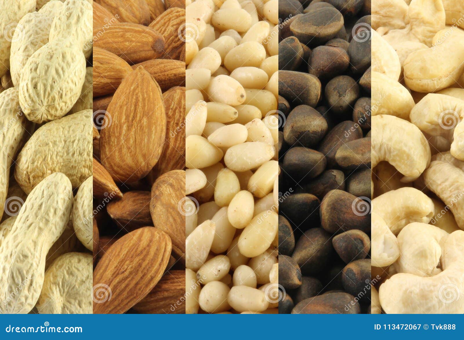 Collage of assorted nuts. stock image. Image of vitamin - 113472067