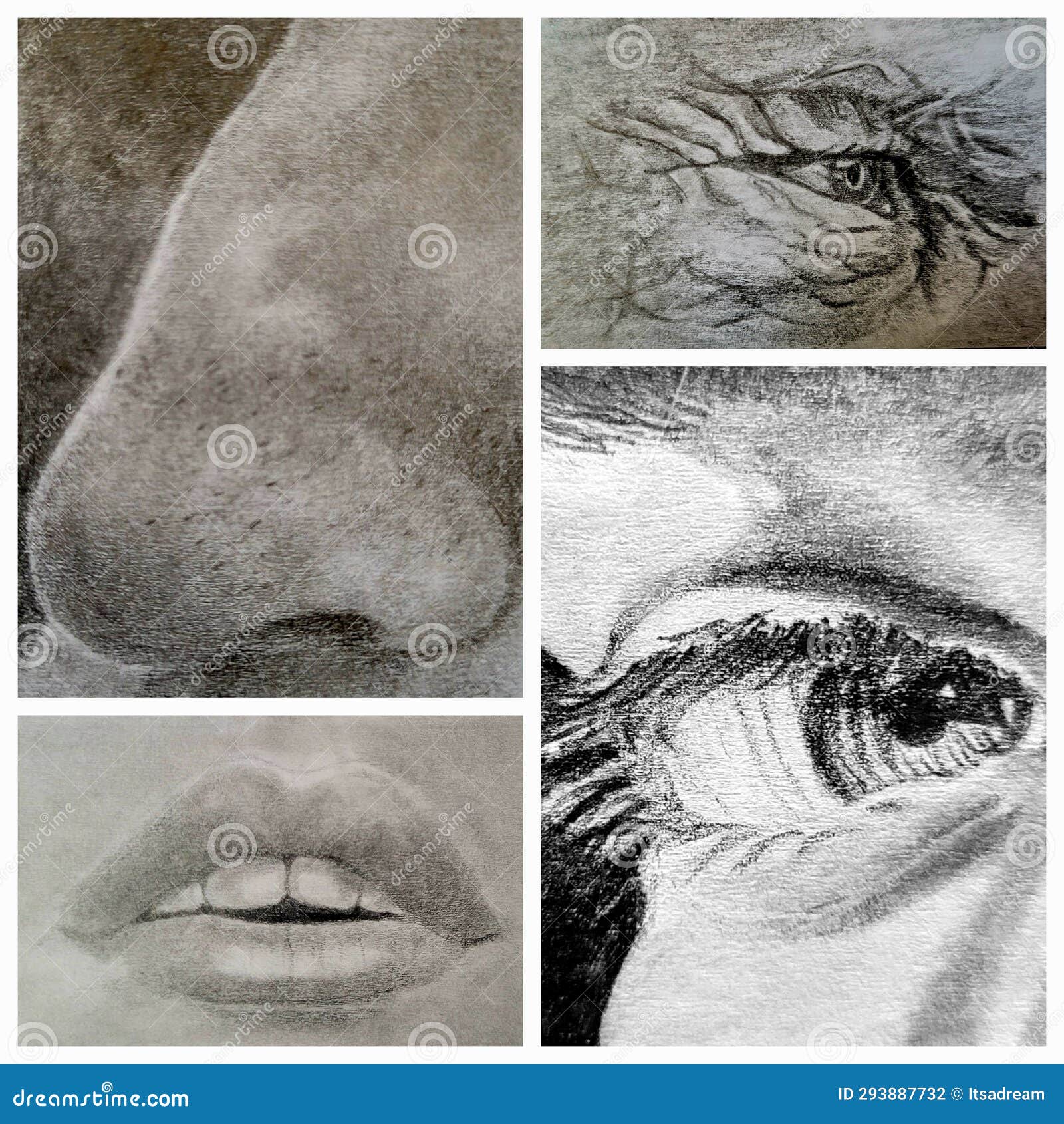 Collage of Pencil Study of Human Facial Features Stock Illustration ...