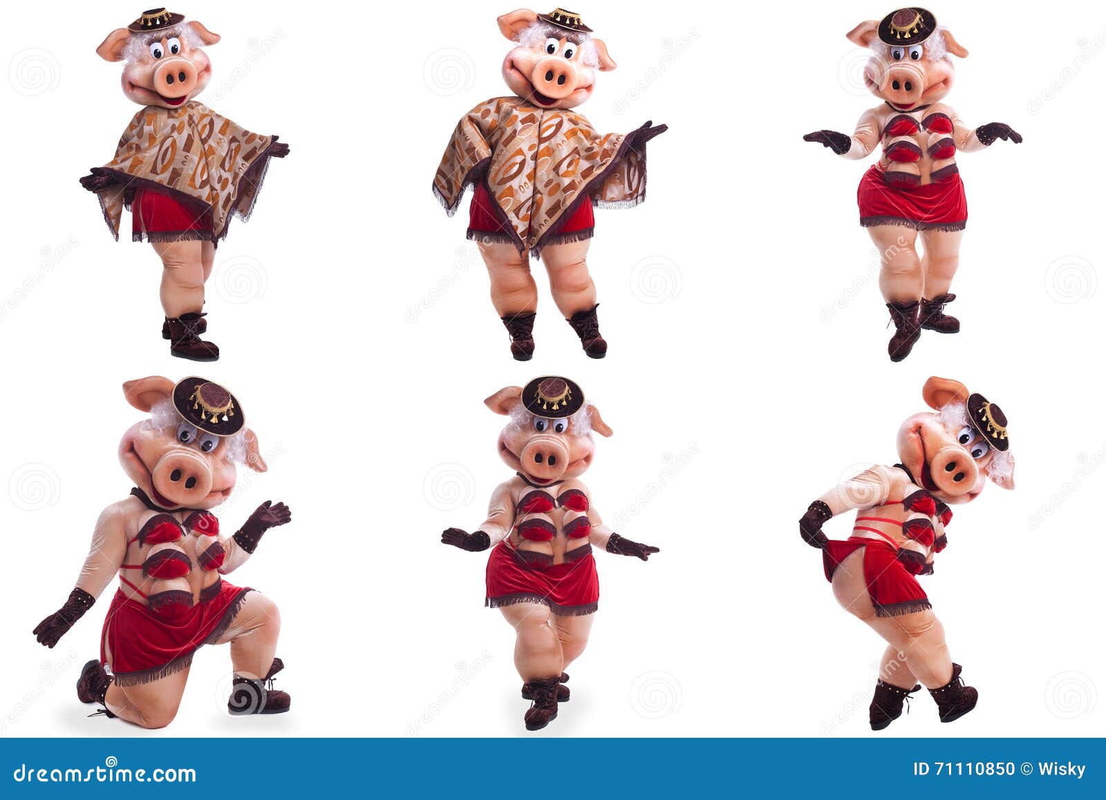 Collage of Person in Pig Mascot Costume for Dance Stock Photo - Image ...