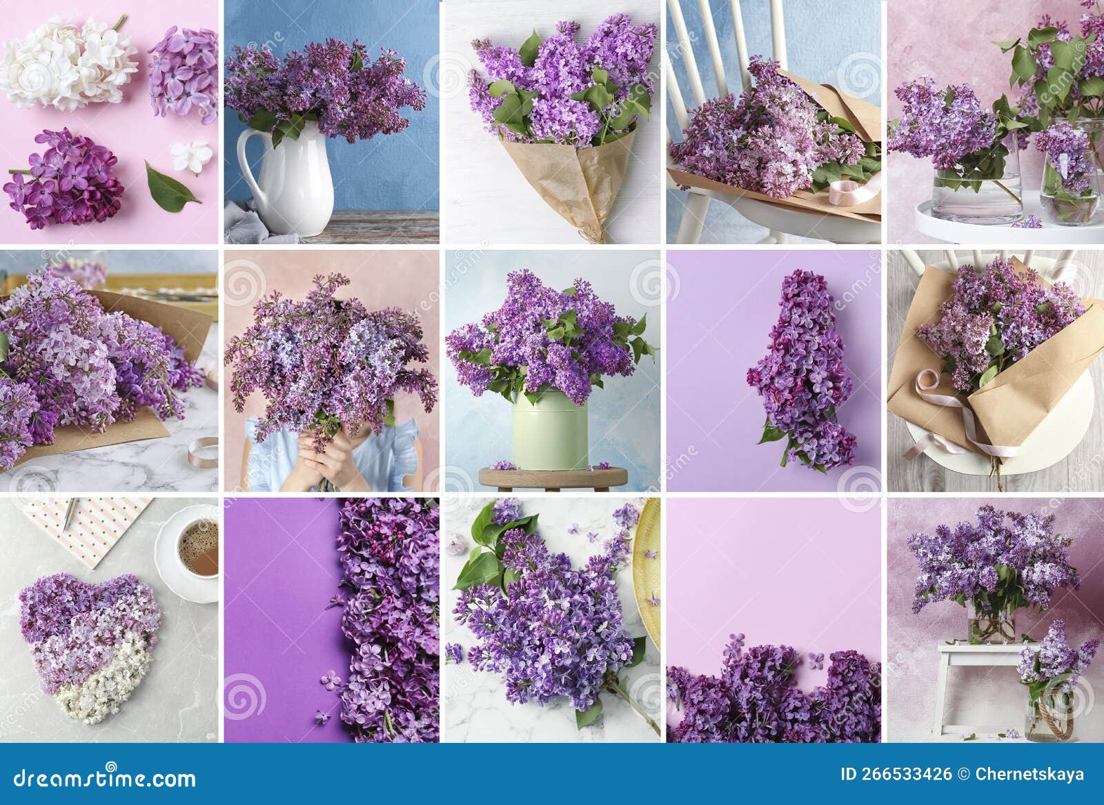 Collage with Photos of Beautiful Lilac Flowers Stock Photo - Image of ...