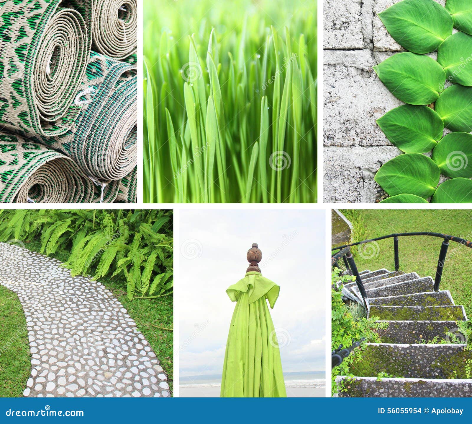 Collage of Photos in Green Colors Stock Photo - Image of cheme ...
