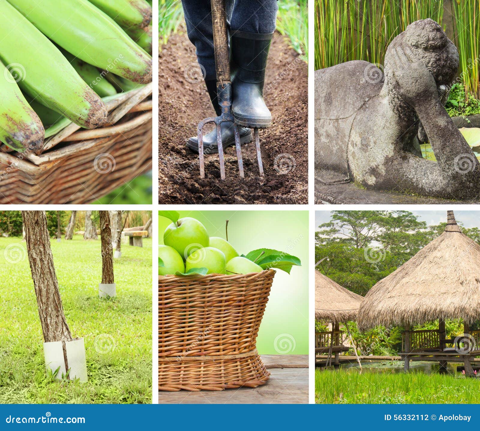 Collage of Photos in Green Colors Stock Photo - Image of collection ...